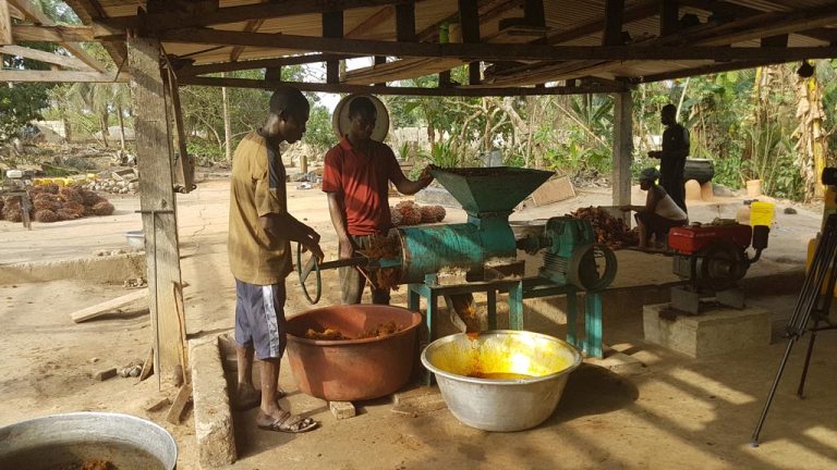 Our Services | Rural Enterprises Programme (REP)